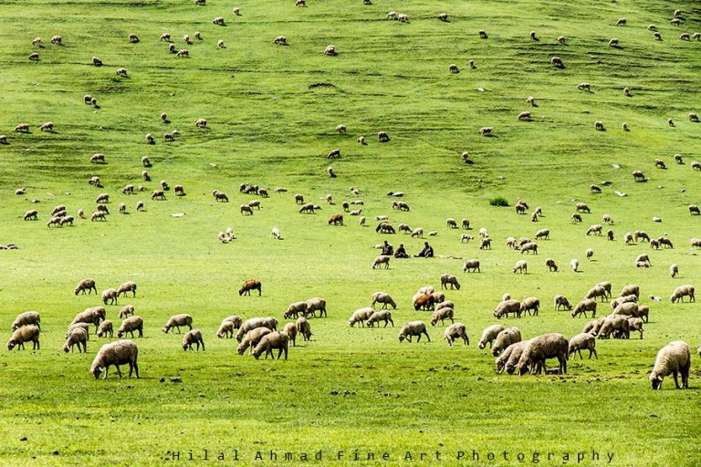 Things You Should Know About Tosa Maidan – The Unexplored Meadow Of ...