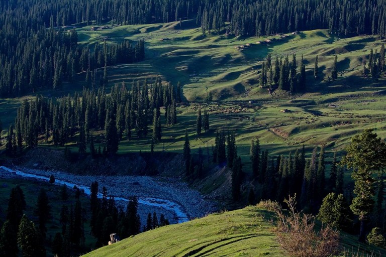 Things You Should Know About Tosa Maidan – The Unexplored Meadow Of ...