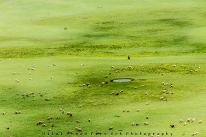 Things You Should Know About Tosa Maidan – The Unexplored Meadow Of ...