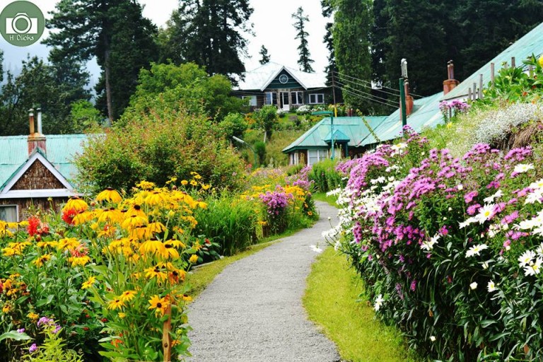 Here’s Your Travel Guide For Gulmarg – Dial Kashmir